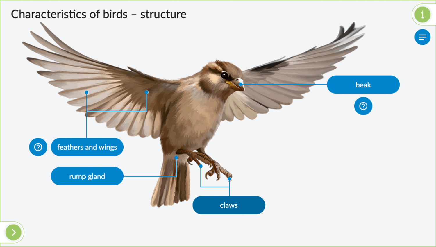 ICONS: Interactive Charts of Natural Science for K12